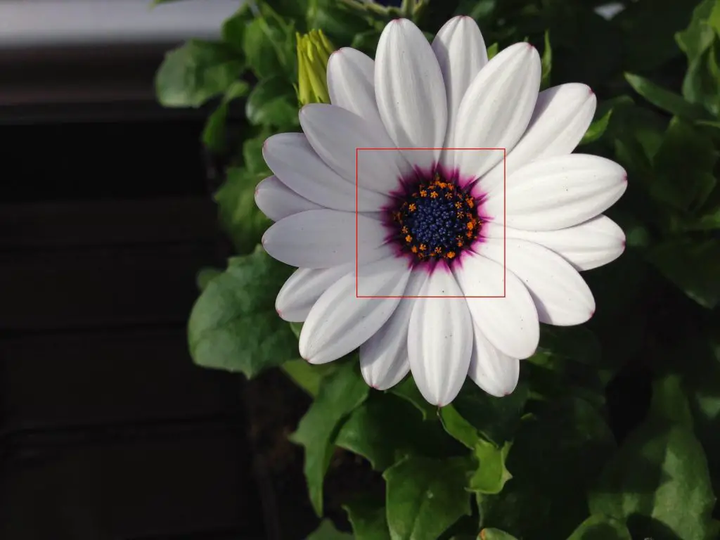 Image Manipulation with Python (PIL) | Learn Python with HolyPython.com