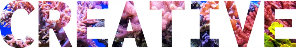 How to Add Text to Images in Python (via PIL Library) | HolyPython.com