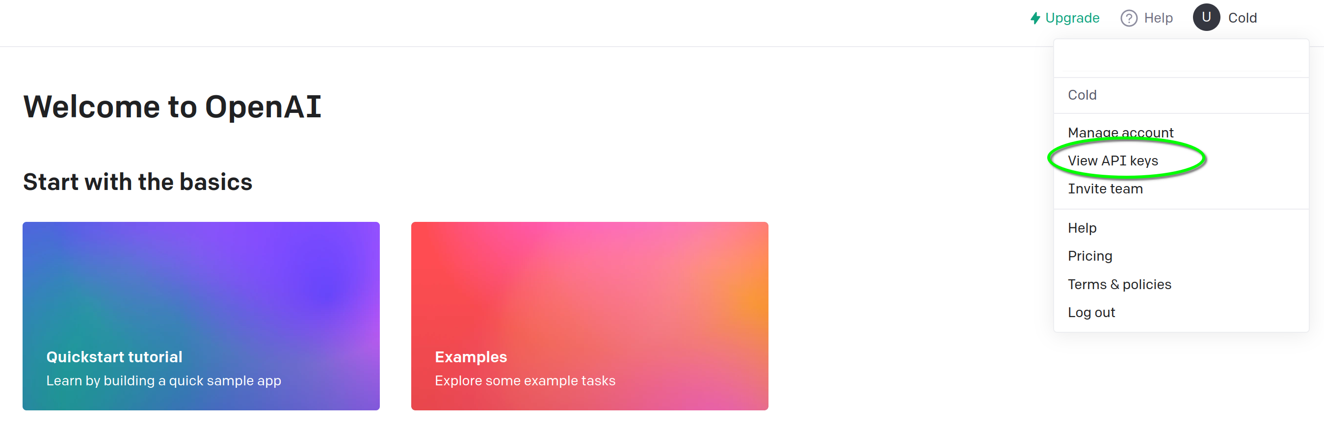 Openai Account Openai Account